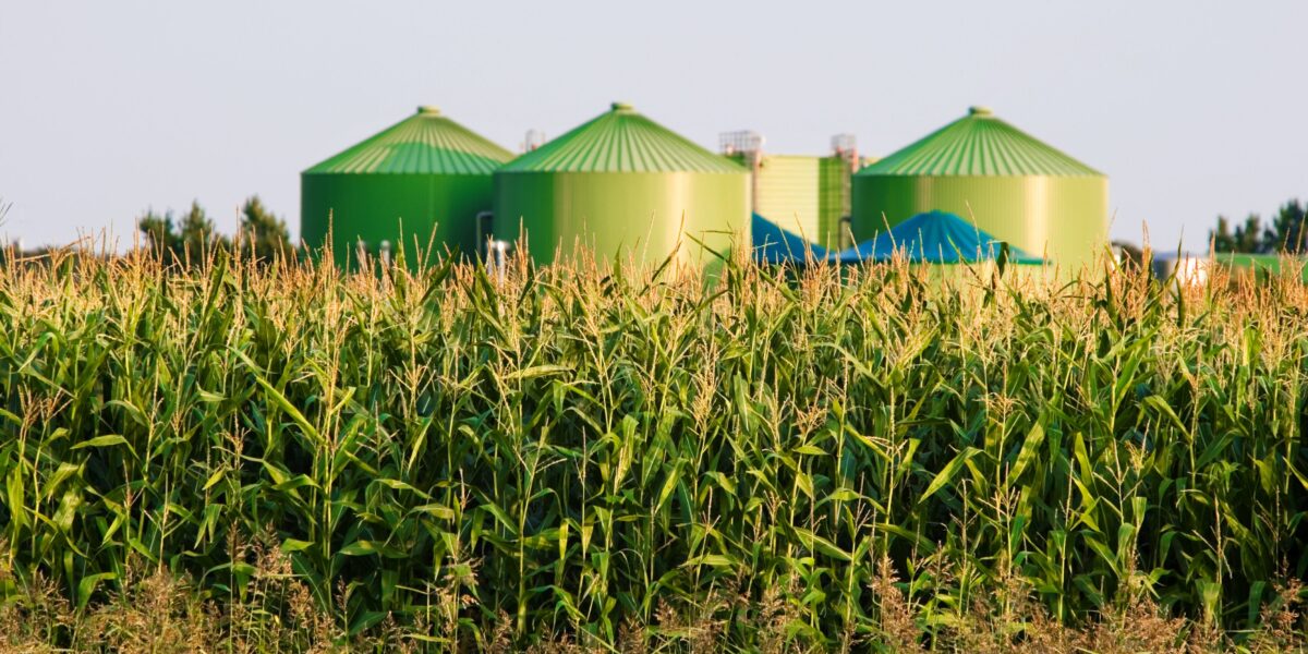 Goiás tem potencial para produzir 2,2 bilhões de m³ de biogás por ano ...
